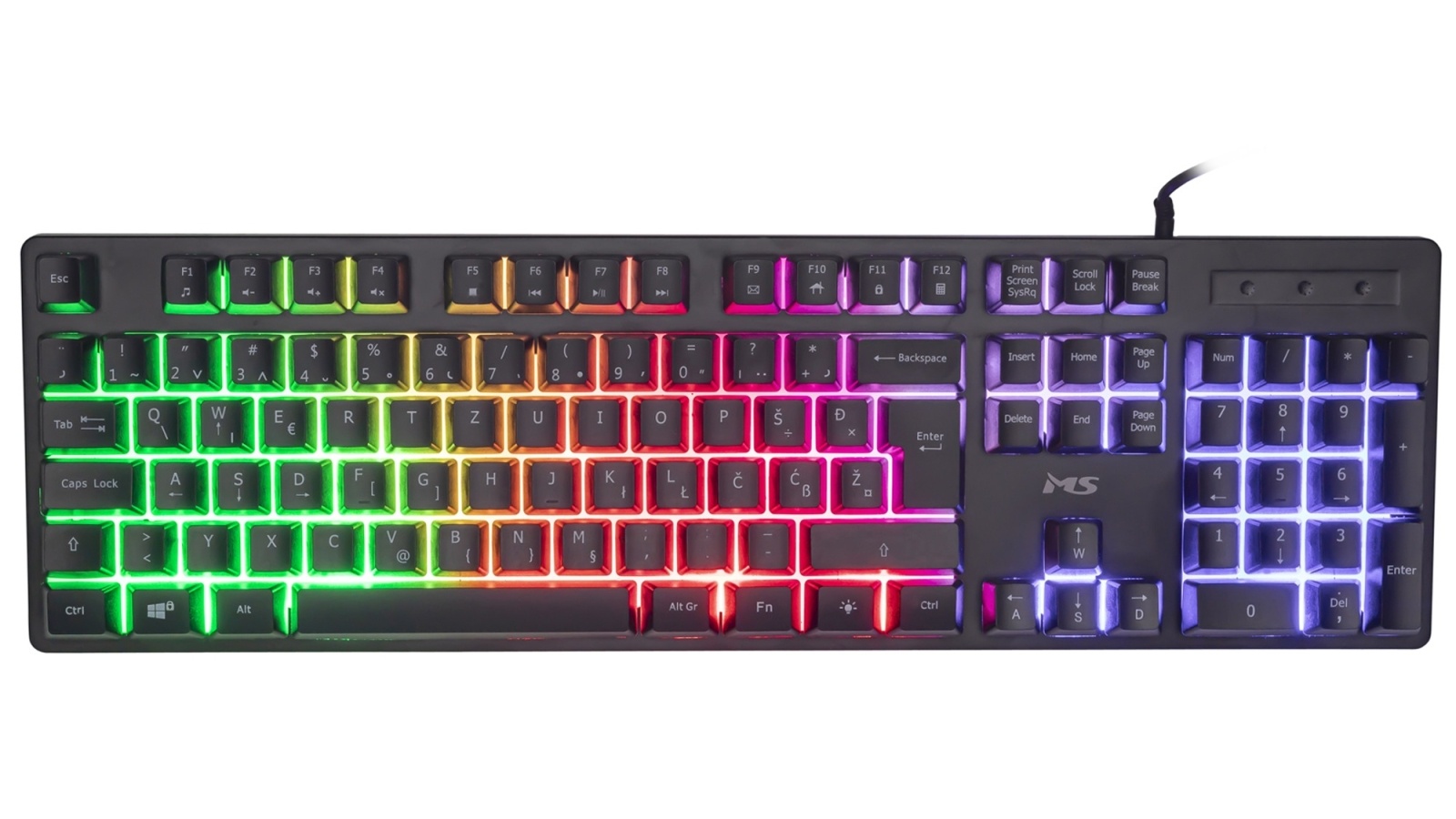 MS tastatura Elite C100 - Cene i akcije