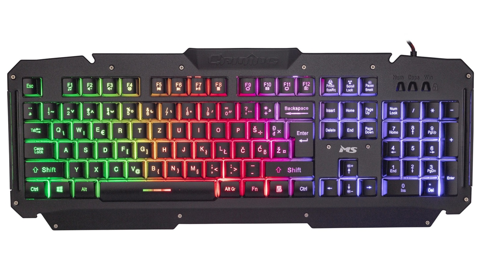 MS tastatura Elite C330 SR(YU) - Cene i akcije