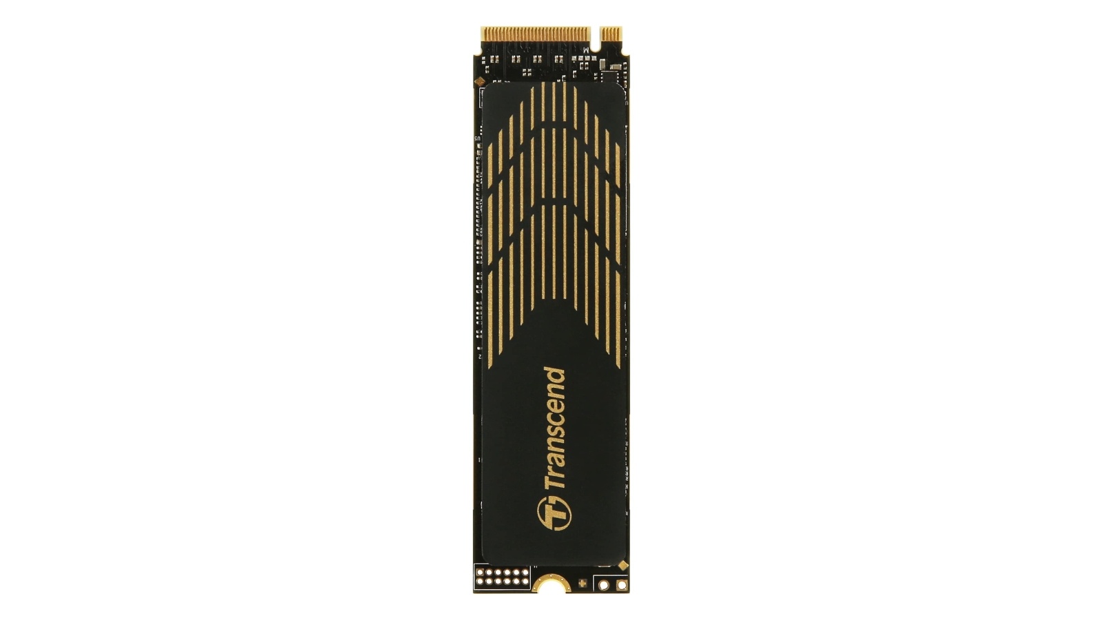 TRANSCEND SSD 1TB TS1TMTE240S - Cene i akcije