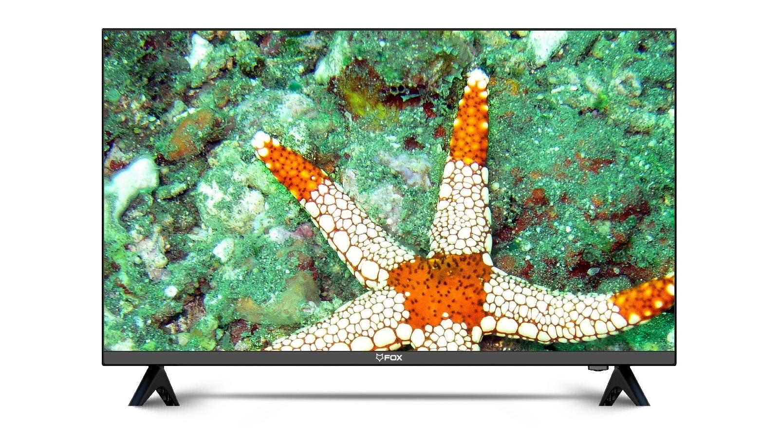 FOX televizor 32DTV231E - Cene i akcije